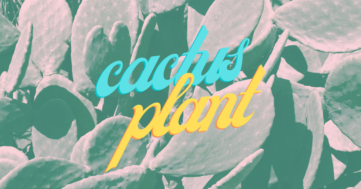 Unveiling who owns Cactus Plant Flea Market: 7 Things You Need to Know ...
